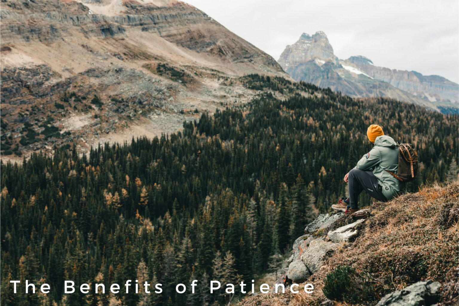 The Power Of Patience: Exploring Psalm 46:10 In Doubtful Times