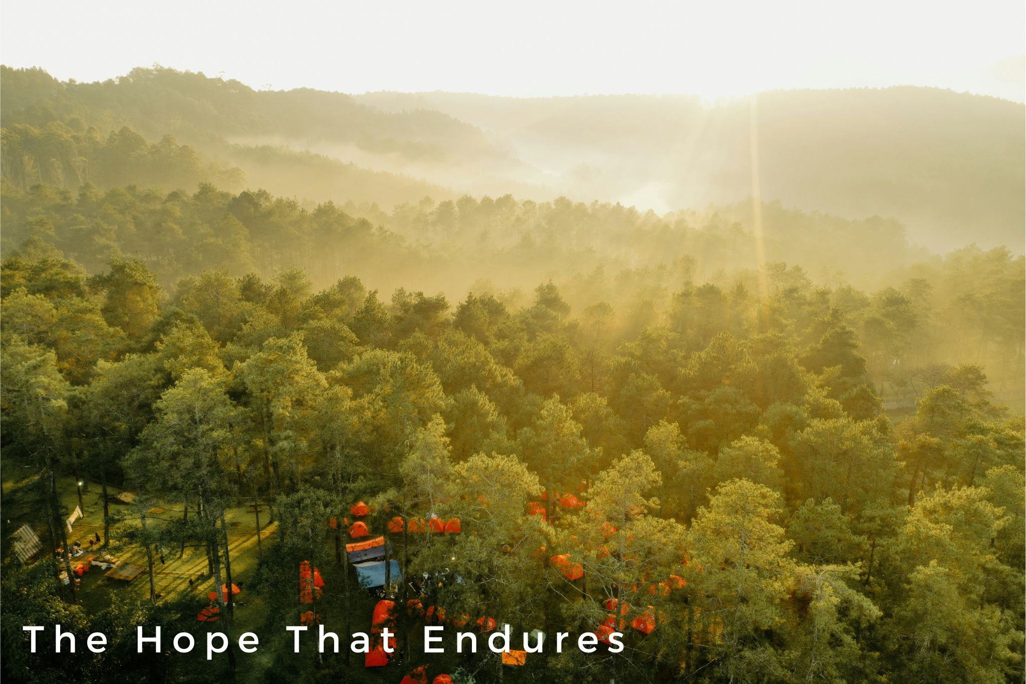 Hope Amidst Adversity: How Persecution Grows the Church ‣ Pray For ...